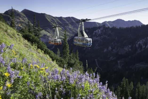 365 Day Connect Pass, cartão turístico de Salt Lake City