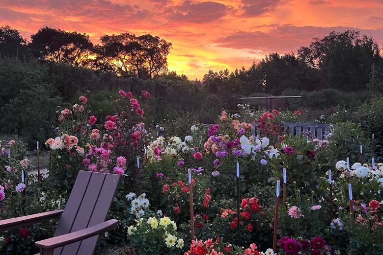 Filoli Garden | Official Tickets, San Francisco - Civitatis.com