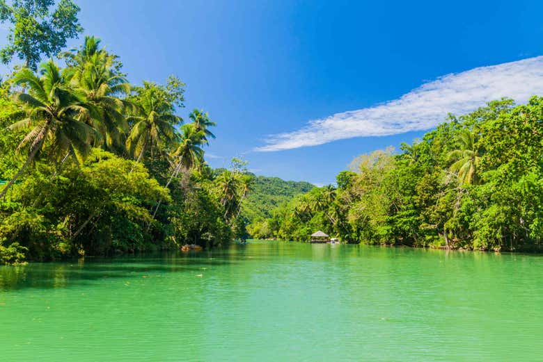 Loboc River Paddle Boarding, Bohol