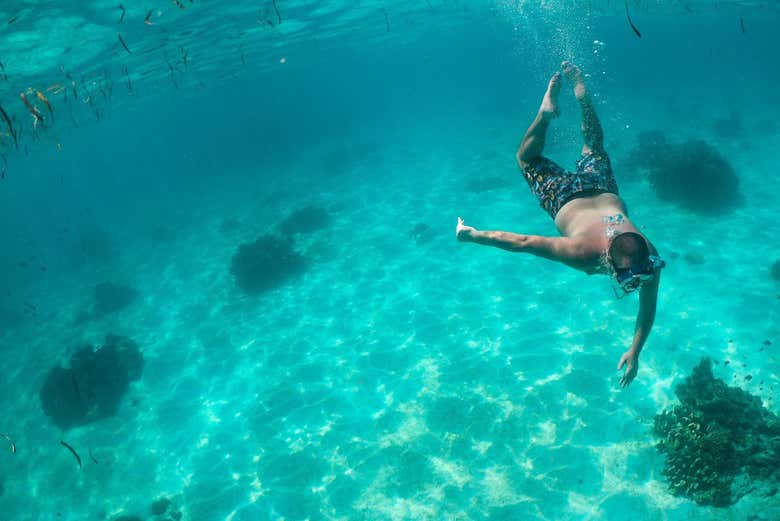 Excursão a Virgin Island saindo de Bohol - Civitatis.com Brasil