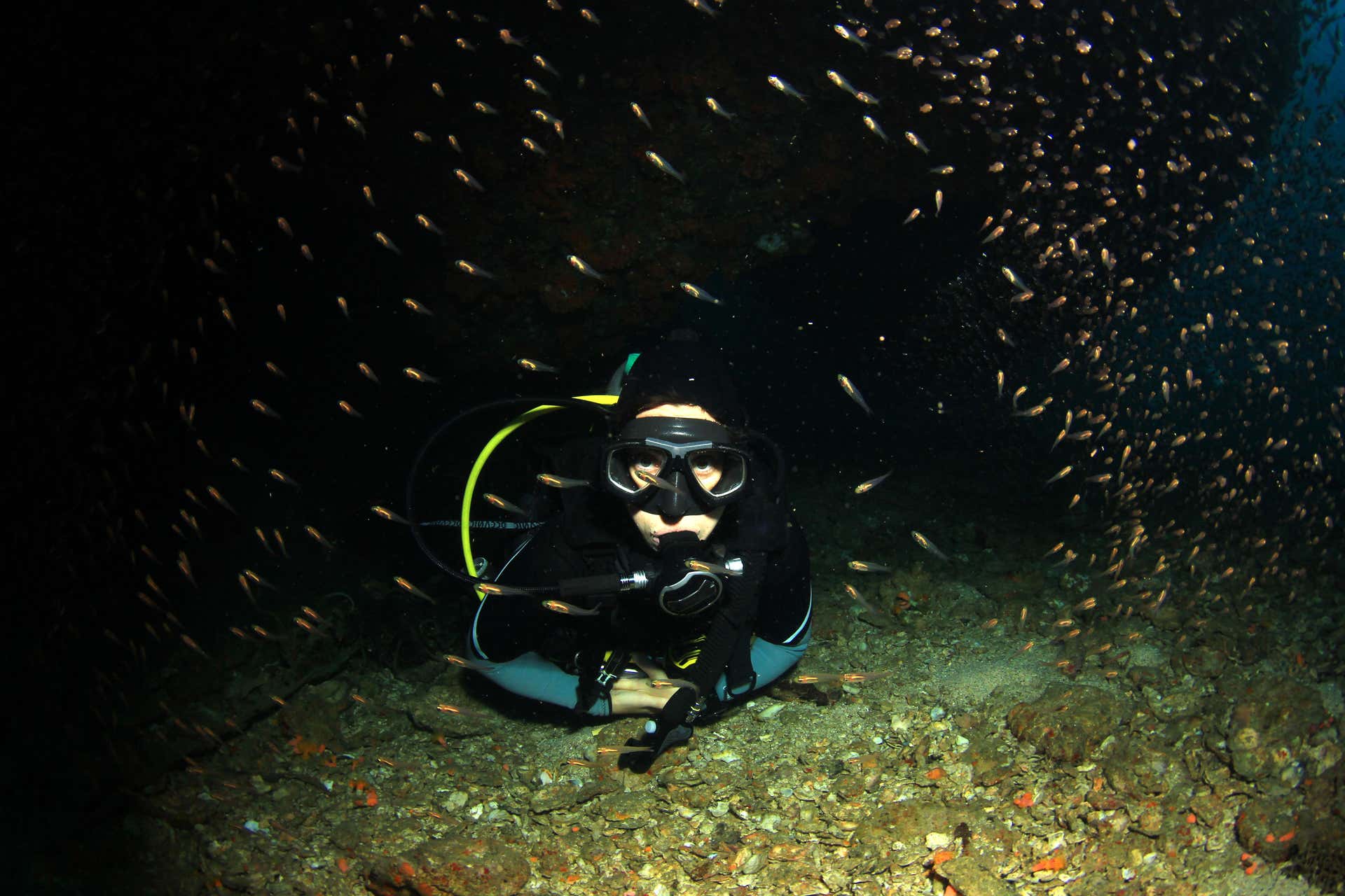Malapascua Night Diving - Book Online at Civitatis.com