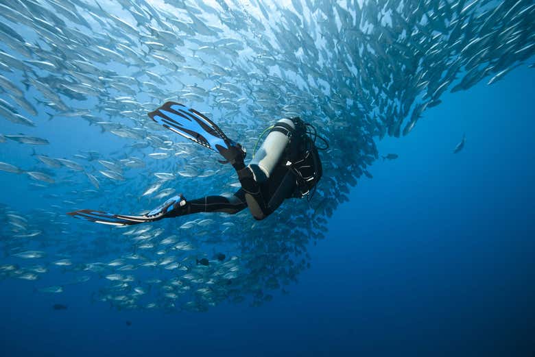 Scuba Diving in Santander - Book Online at Civitatis.com