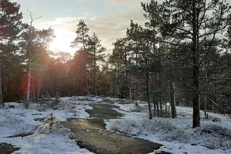 Excursión a la península de Porkkala desde Helsinki