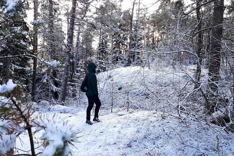 Porkkala Day Trip from Helsinki - Book Online at Civitatis.com