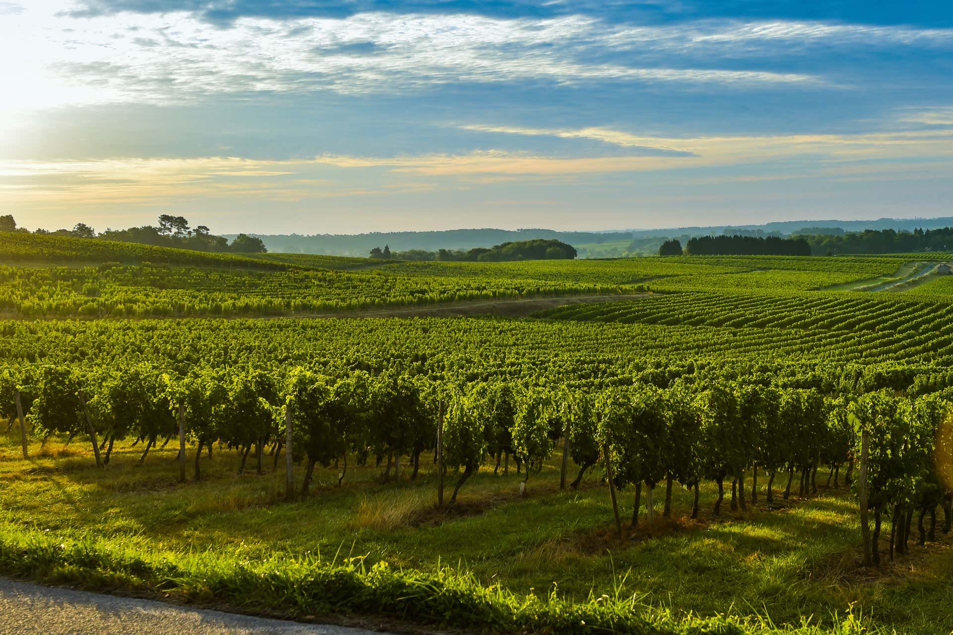 Entre-deux-Mers Winery + Grande-Sauve Abbey from Bordeaux