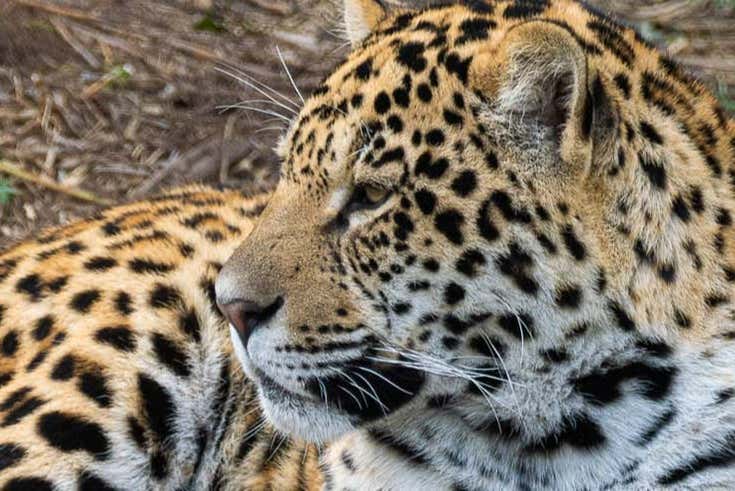 Entrada al zoológico Parrot World de Crécy-la-Chapelle, Crécy-La-Chapelle