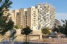 Excursiones, visitas guiadas y actividades en Montpellier