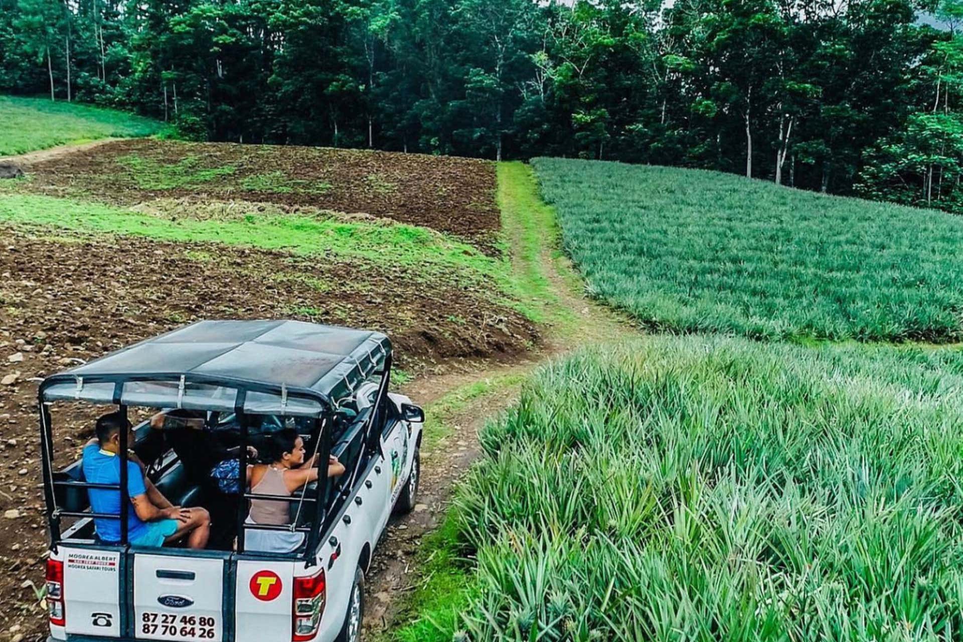 Mo'orea Tour - Book Online at Civitatis.com