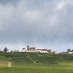 Mutigny: Tours & Activities in the Heart of Champagne - Civitatis