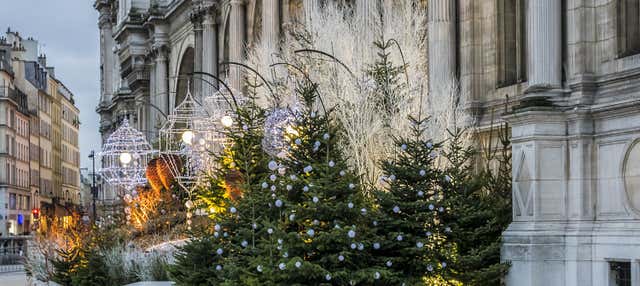 Tour navideño por París - Reserva online en Civitatis.com