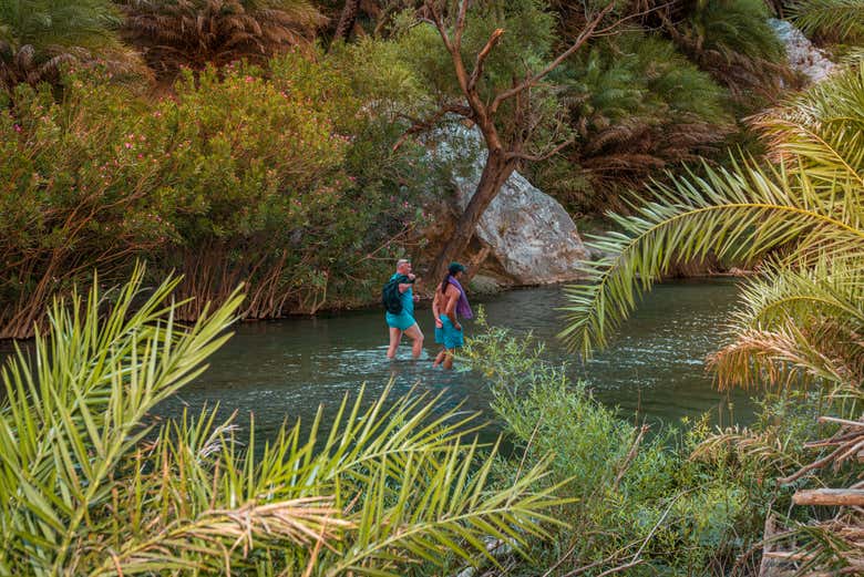 Escursione alla spiaggia di Preveli da Candia - Civitatis.com