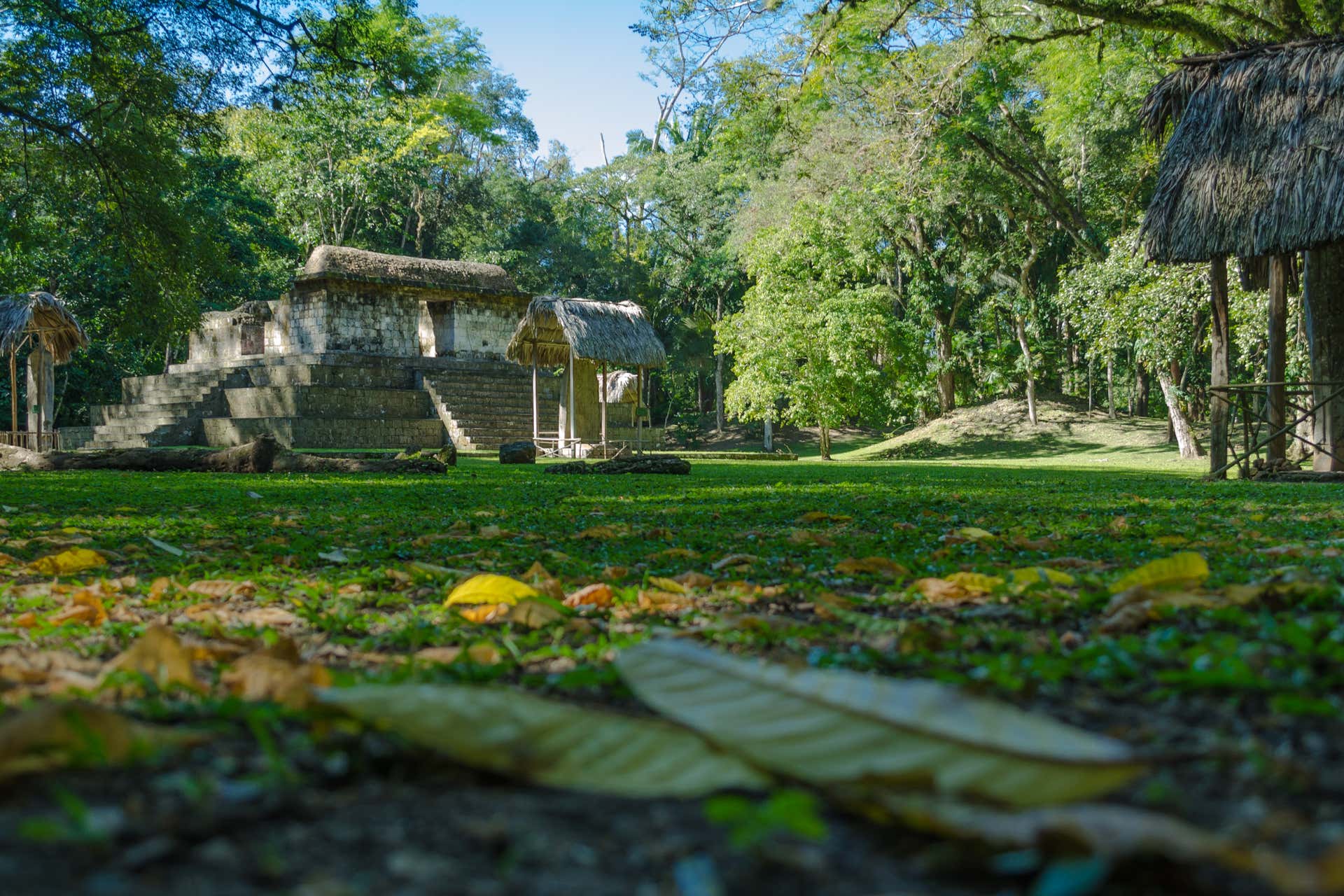 Day Trip to El Ceibal from Flores - Book Online at Civitatis.com