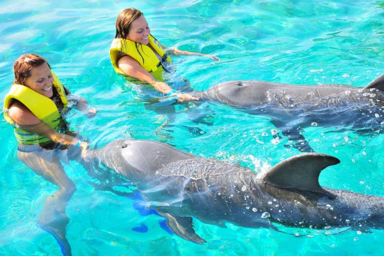 Nado con delfines en Roatán - Reserva online en Civitatis.com