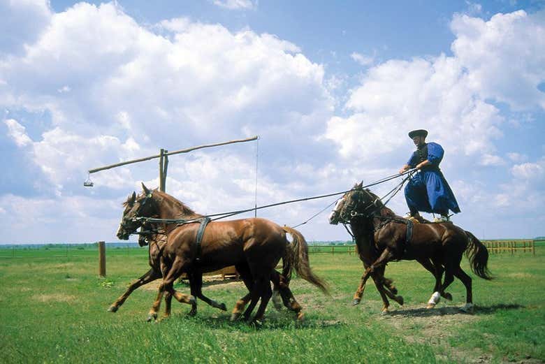 Excursión a la Puszta y espectáculo ecuestre desde Budapest - Civitatis