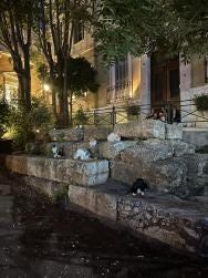Athens Night Tour - Book Online at Civitatis.com