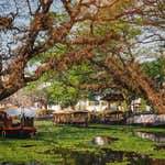 Excursiones, visitas guiadas y actividades en Alleppey - Civitatis