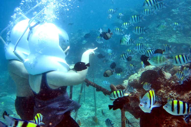 Marche sous l'eau avec scaphandre à Bali - Disfruta Egipto