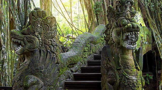 Monkey Forest - Meet Bali's famous monkeys!