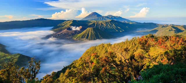 Mount Bromo Private Hiking Activity from Malan, Malang - Civitatis