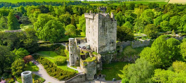 Visita guiada por el castillo de Blarney - Civitatis.com