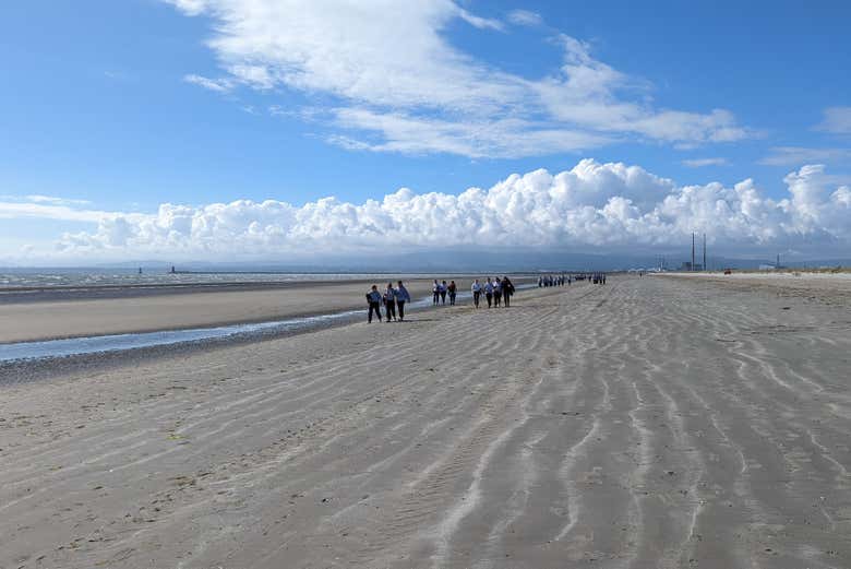 Tour pela Bull Island, Dublin