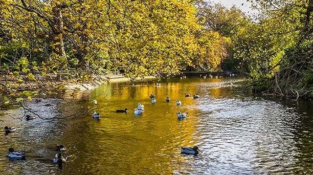 St Stephen's Green - Dublin's Liveliest Park