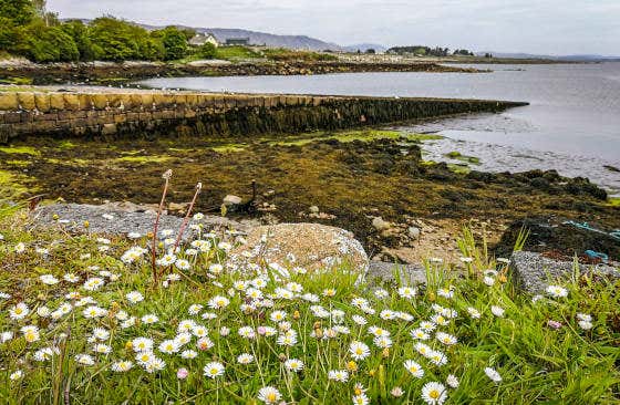 Guided tours, day trips and activities in Ireland - Civitatis.com