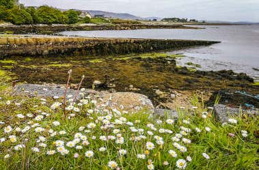 Excursiones, visitas guiadas y actividades en Irlanda - Civitatis