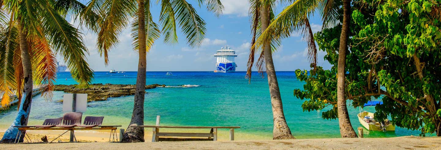 Excursiones, visitas guiadas y actividades en George Town