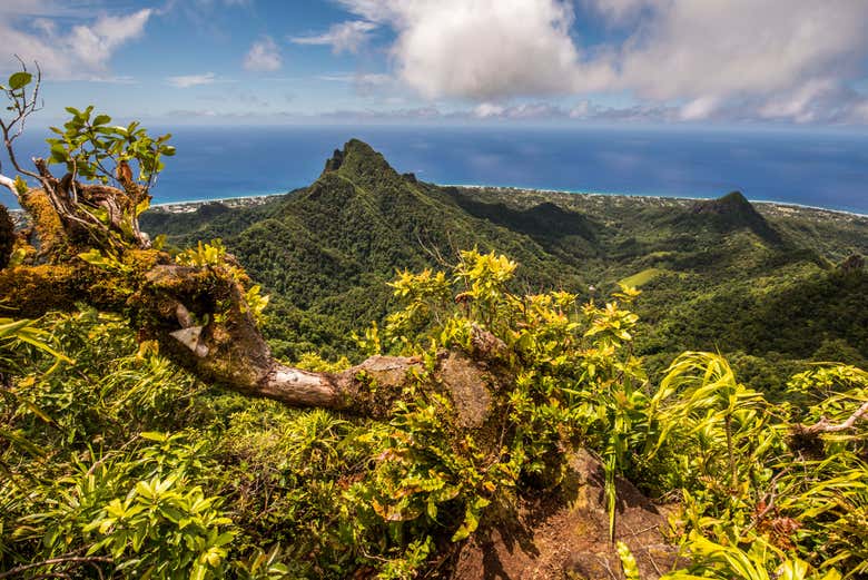 Rarotonga Private Tour - Book Online at Civitatis.com