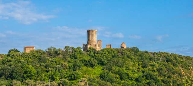 Velia Archaeological Site Tour from Ascea - Book at Civitatis.com