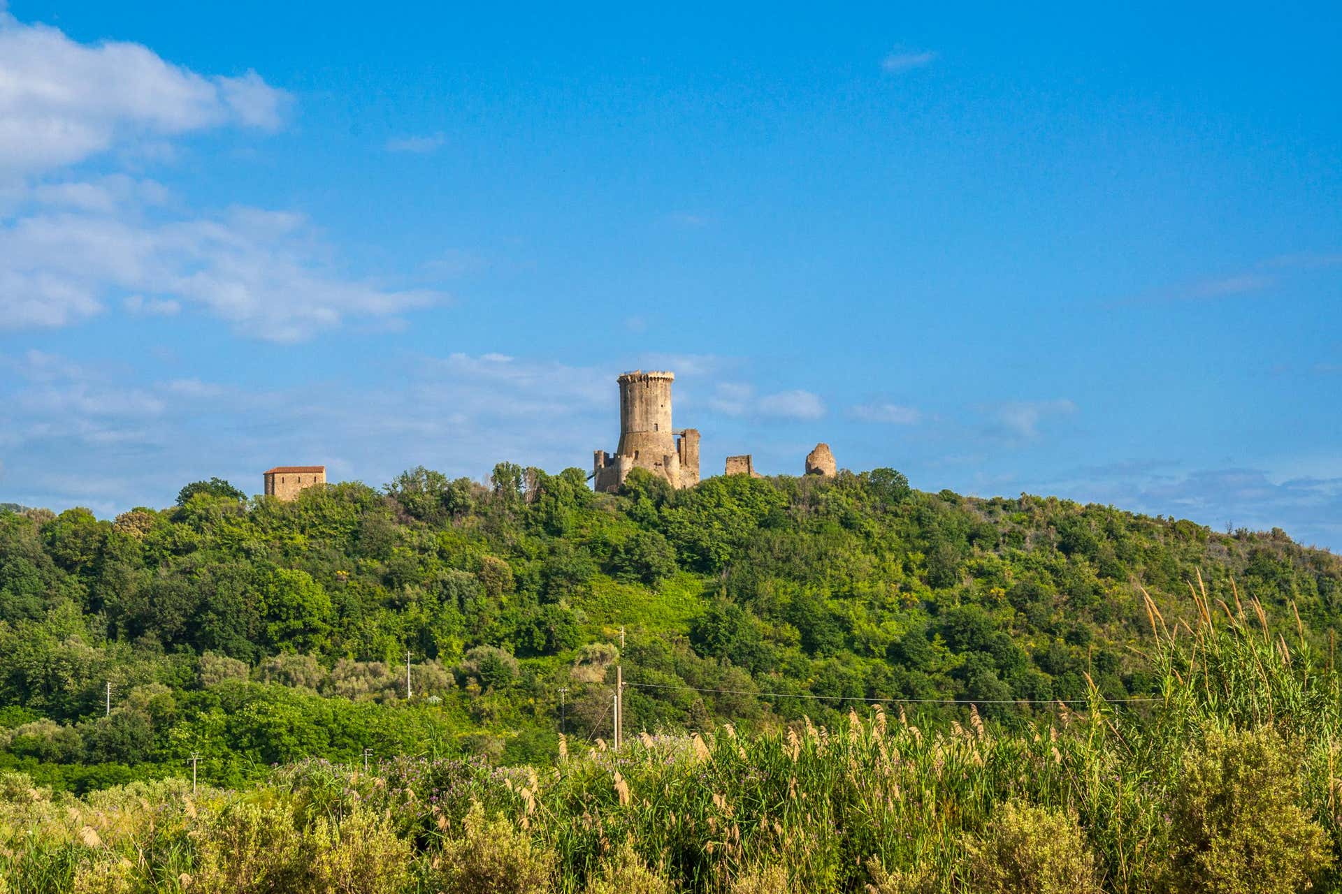 Velia Archaeological Site Tour from Ascea - Book at Civitatis.com