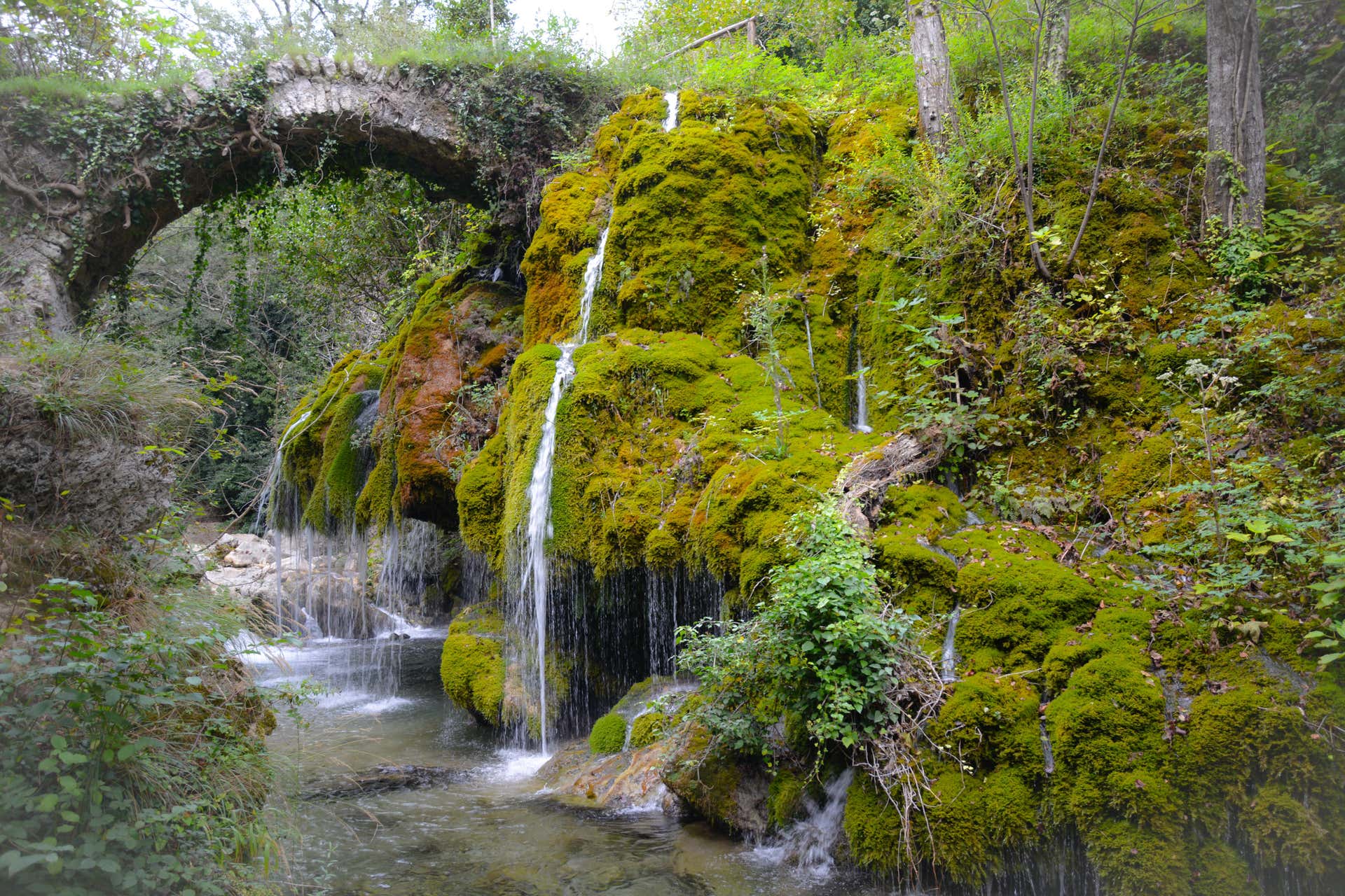 Hair of Venus Waterfalls Tour from Ascea - Book at Civitatis.com