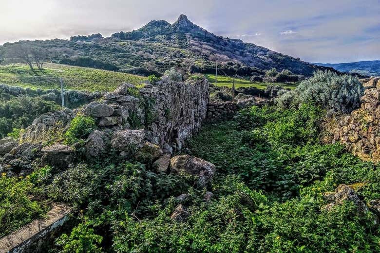 Tour por Anglona saindo de Castelsardo - Reserve em Civitatis.com