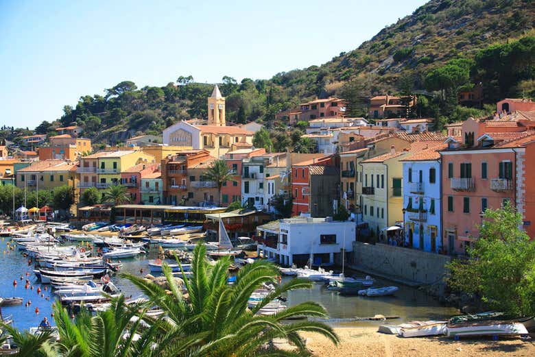 Excursión a las islas Giglio y Giannutri desde Florencia