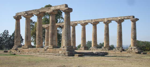 Metaponto Archaeological Park Private Visit - Civitatis.com