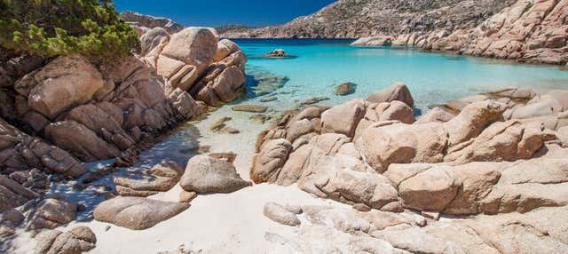 Excursión a La Maddalena, Spargi, Budelli y Santa María desde Palau