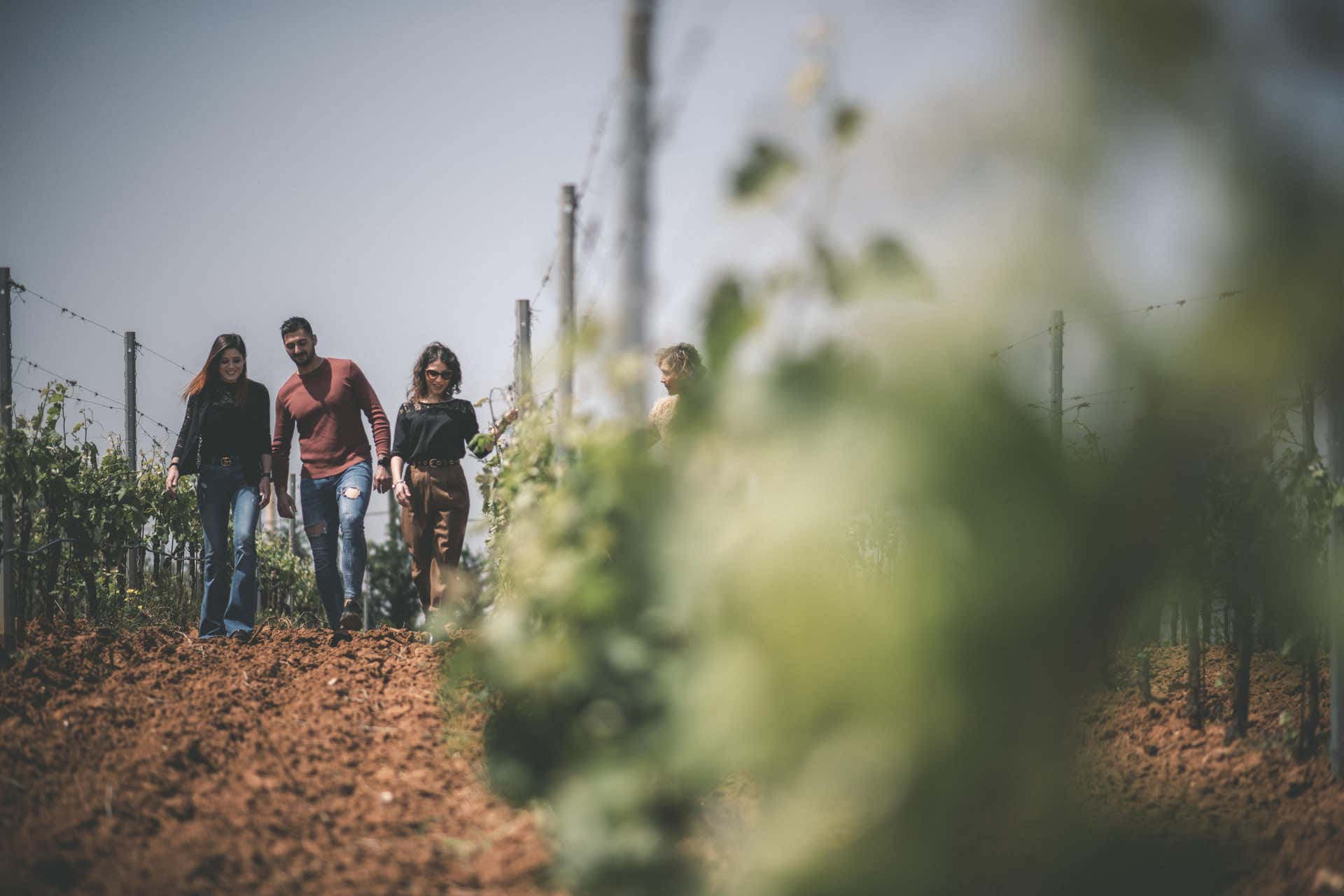 Partinico Winery Visit - Book Online at Civitatis.com