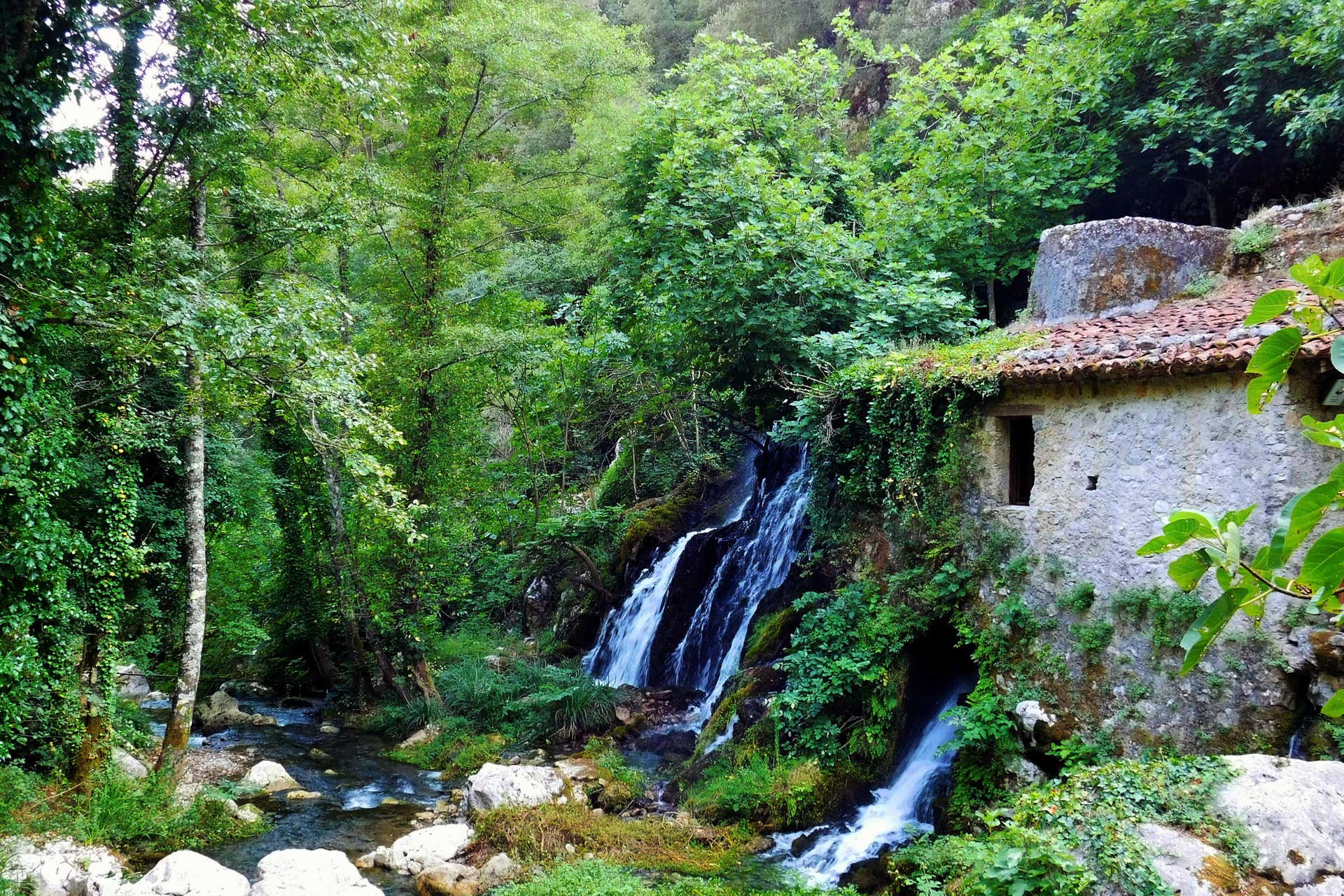 Escursione all'Oasi di Morigerati da Pisciotta - Civitatis.com
