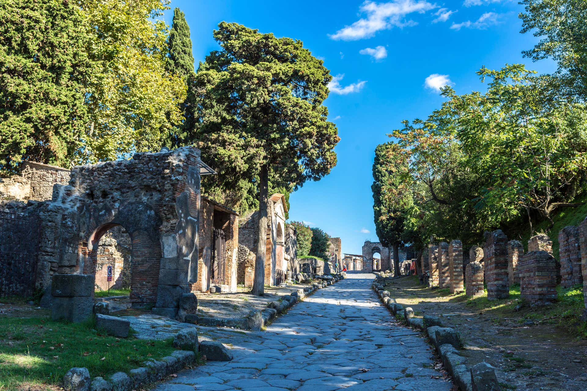Pompeii & Vesuvius Day Trip from Pisciotta - Book at Civitatis.com