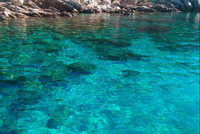 Tavolara & Punta Coda Cavallo Boat Trip from San Teodoro