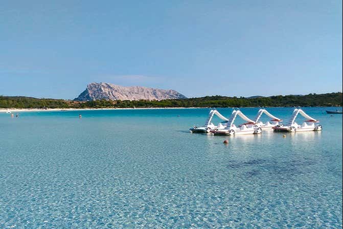 Paseo en lancha por Tavolara y Punta Coda Cavallo desde San Teodoro