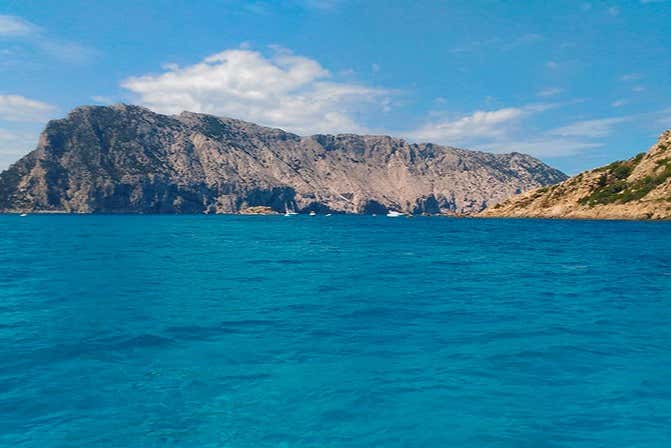 Paseo en lancha por Tavolara y Punta Coda Cavallo desde San Teodoro