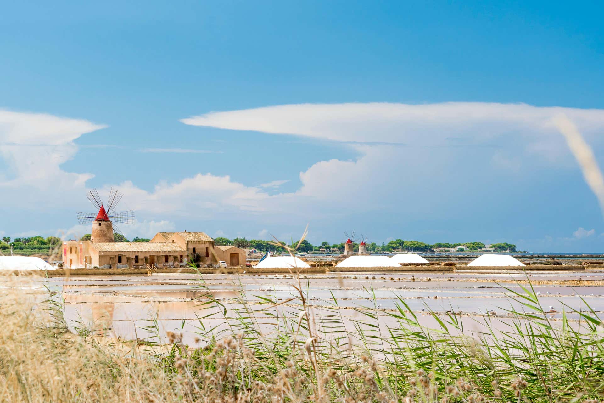 Marsala Boat Tour + Wine Tasting, Trapani