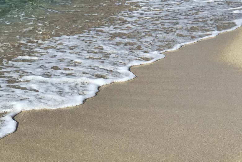 Excursion to the Acropolis & Beaches of Selinunte from Trapani