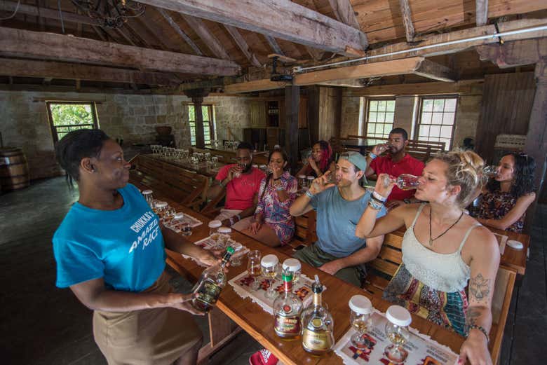 Excursión al Chukka Good Hope desde Falmouth - Civitatis.com