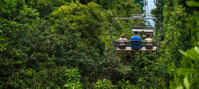 Mystic Mountain Jamaica