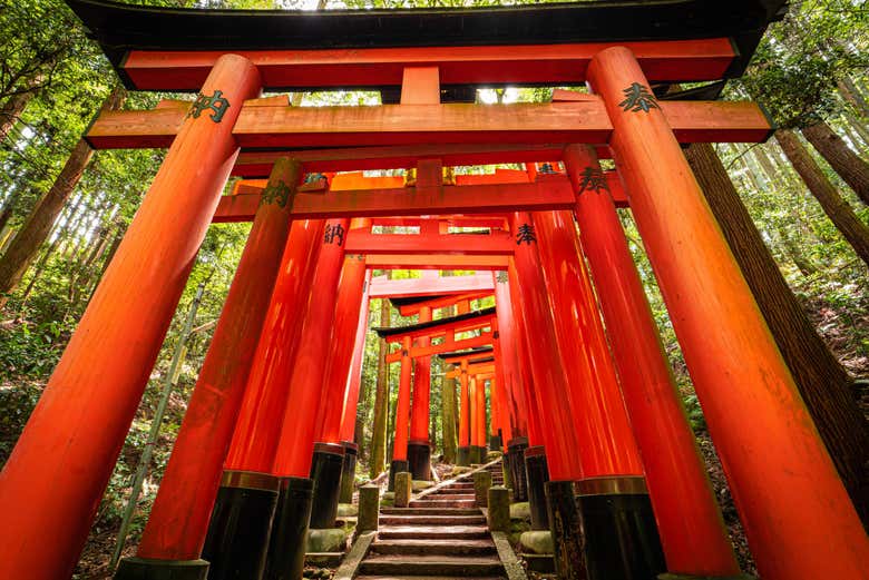 Excursão a Osaka, Nara e Fushimi Inari saindo de Kyoto - Civitatis Brasil