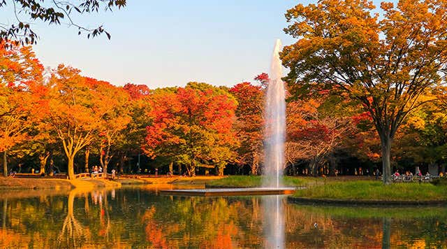 Yoyogi Park - The liveliest park in Tokyo
