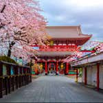 Excursiones, visitas guiadas y actividades en Tokio - Civitatis